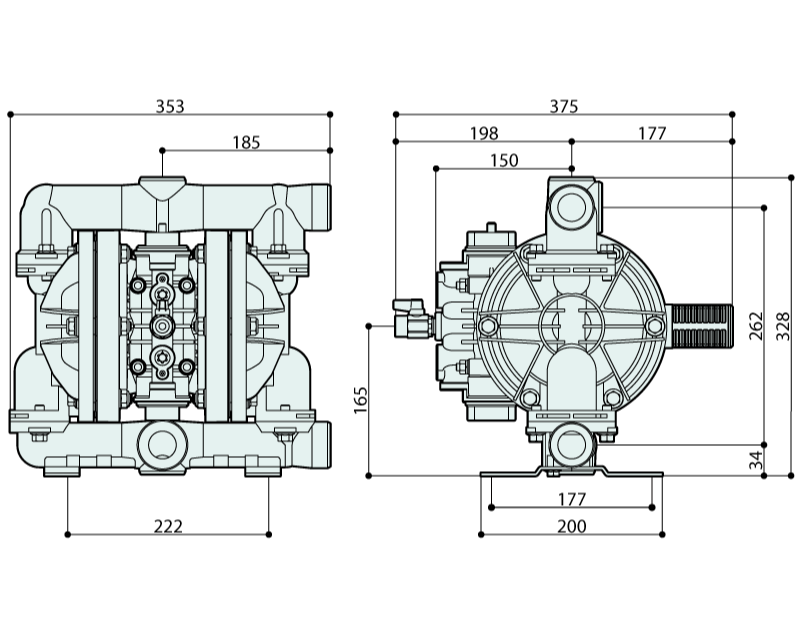 Type 250 Models | Product Information | Diaphragm Pump YTS