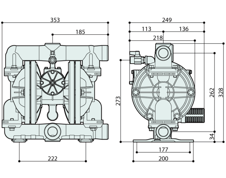 Type 250 Models | Product Information | Diaphragm Pump YTS
