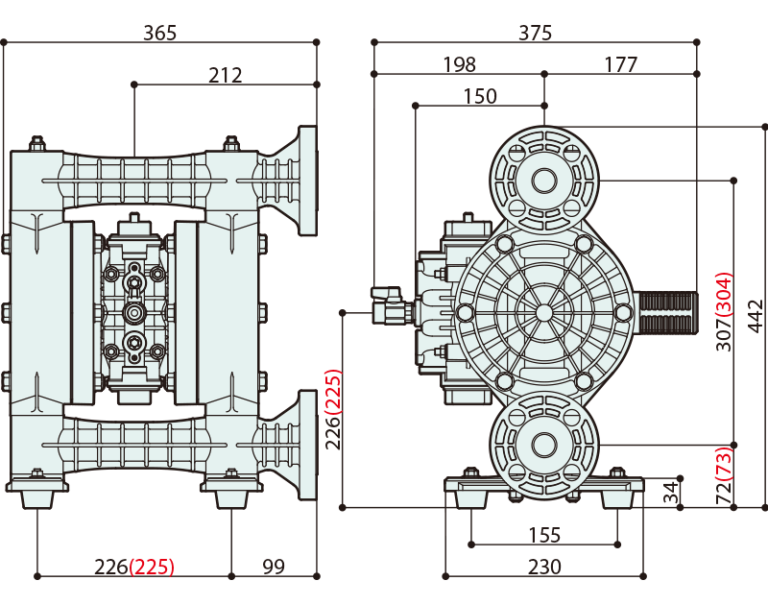 Type 250 Models | Product Information | Diaphragm Pump YTS